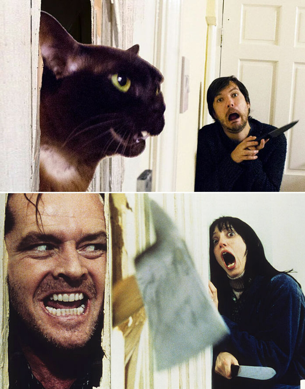 Paret återskapar klassiska filmscener – med sina katter | Femina