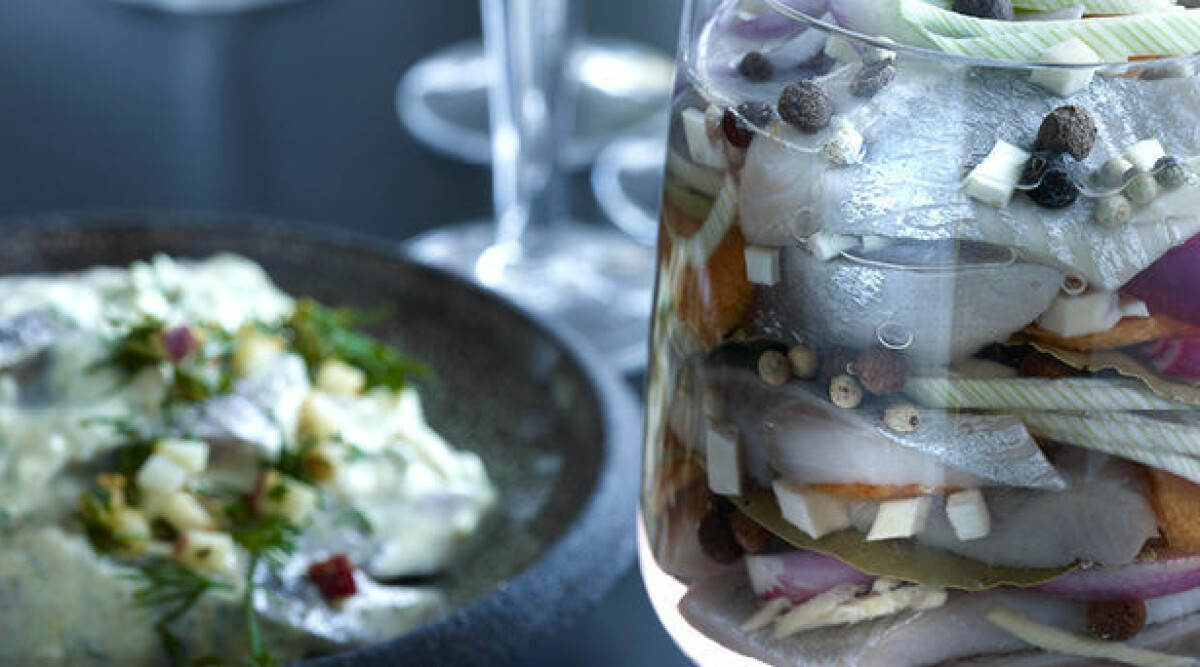 Gör egen inlagd sill till jul – här är 7 enkla recept | Femina