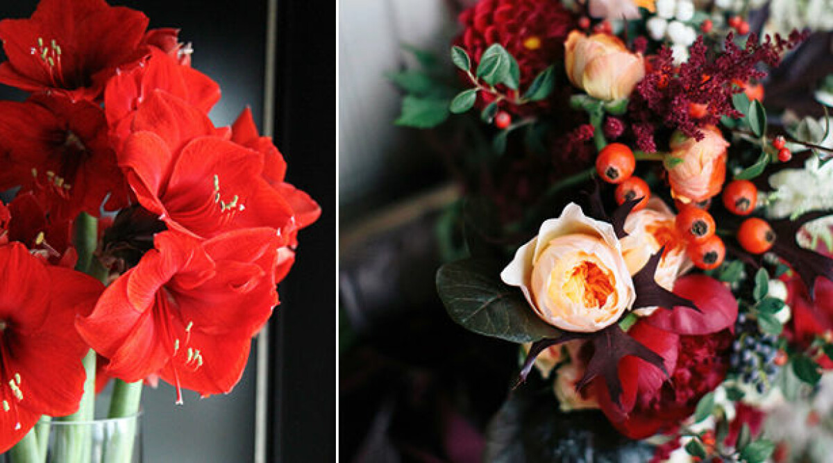 Experten: Så komponerar du en vacker julbukett | Femina