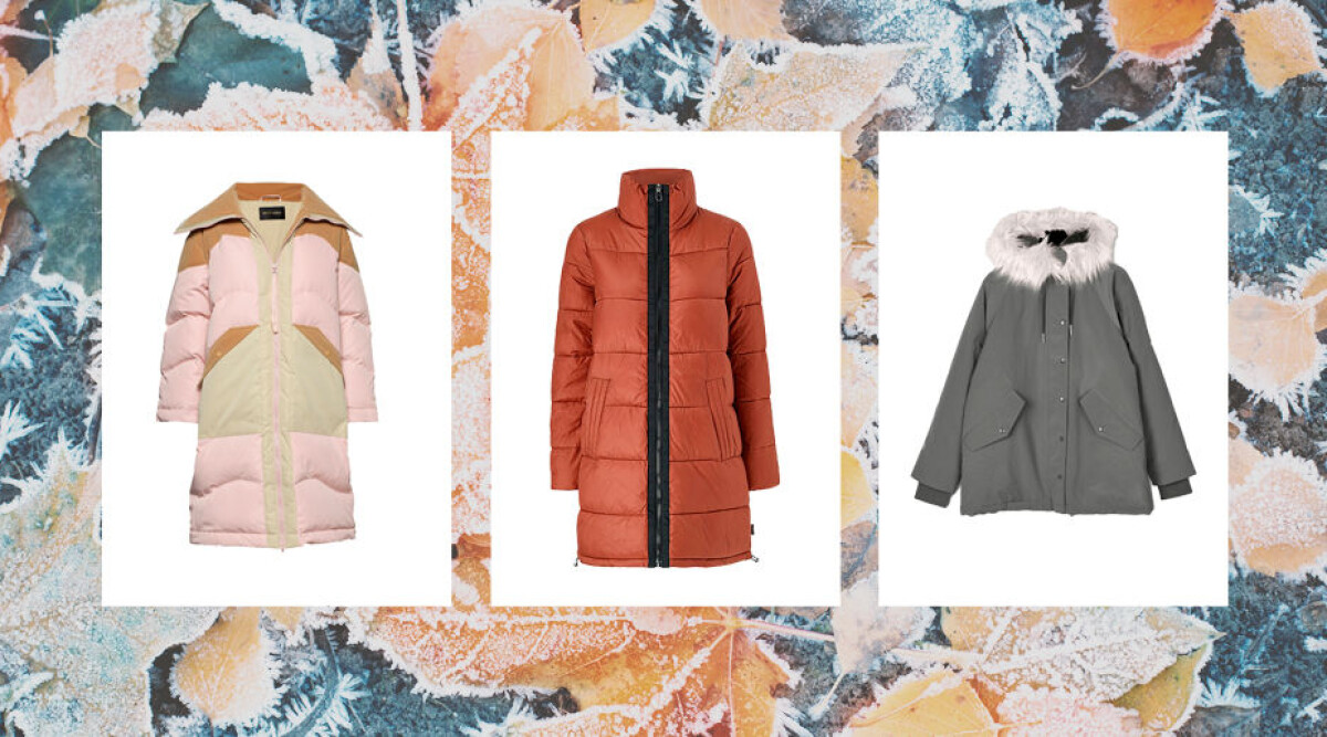 Årets snyggaste vinterjackor — 16 shoppingtips | Femina